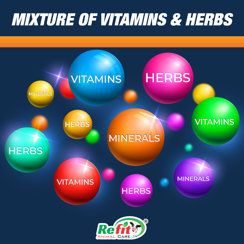 REFIT ANIMAL CARE Cough Cold Herbal Tonic for Cow, Buffalo, Sheep, Goat ...