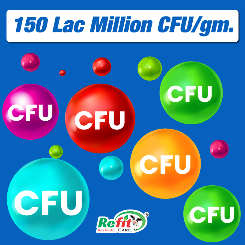 REFIT ANIMAL CARE Biofloc Probiotics for Fish, Shrimp, Prawns and ...