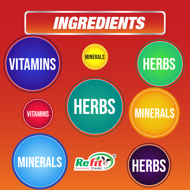 REFIT ANIMAL CARE Calf Growth Tonic Liquid Feed Supplement Syrup, Set ...