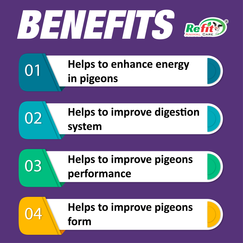 Refit Animal Care Fitness Powder Pigeon Feed Supplement - Form ...