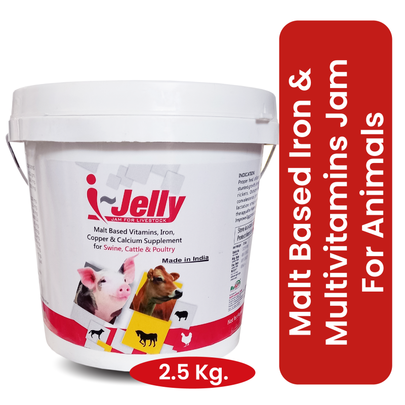 REFIT ANIMAL CARE Malt Based Iron Multivitamin Supplement with Copper ...