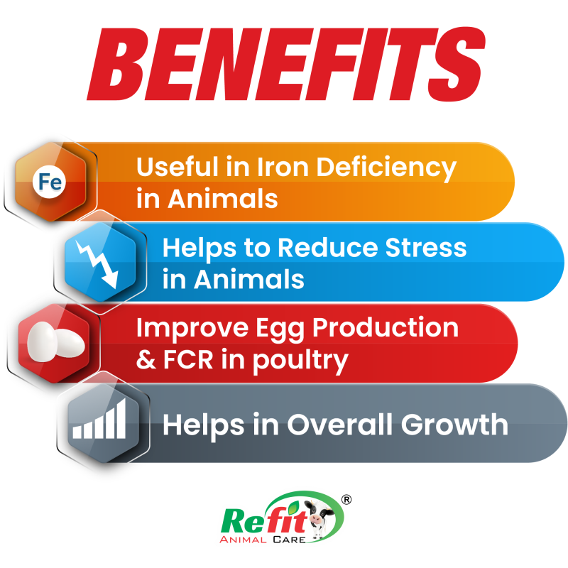 REFIT ANIMAL CARE Malt Based Iron Multivitamin Supplement with Copper ...