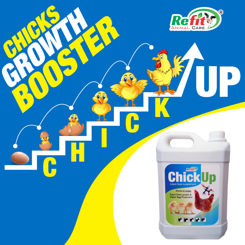 REFIT ANIMAL CARE Chicken Feed | Chicks Feed | Chick Food Fast Growth ...