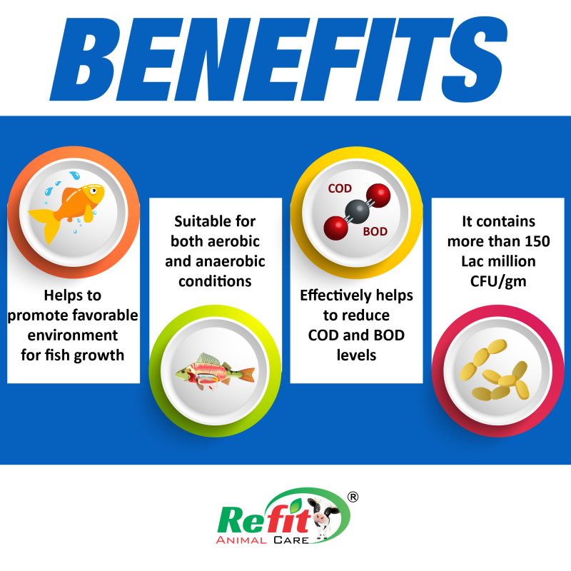 REFIT ANIMAL CARE Biofloc Probiotics for Fish, Shrimp, Prawns and ...