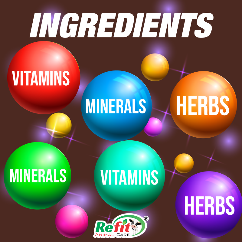 REFIT ANIMAL CARE Anticoccidiosis Liquid Supplement for Chicken, Chicks ...